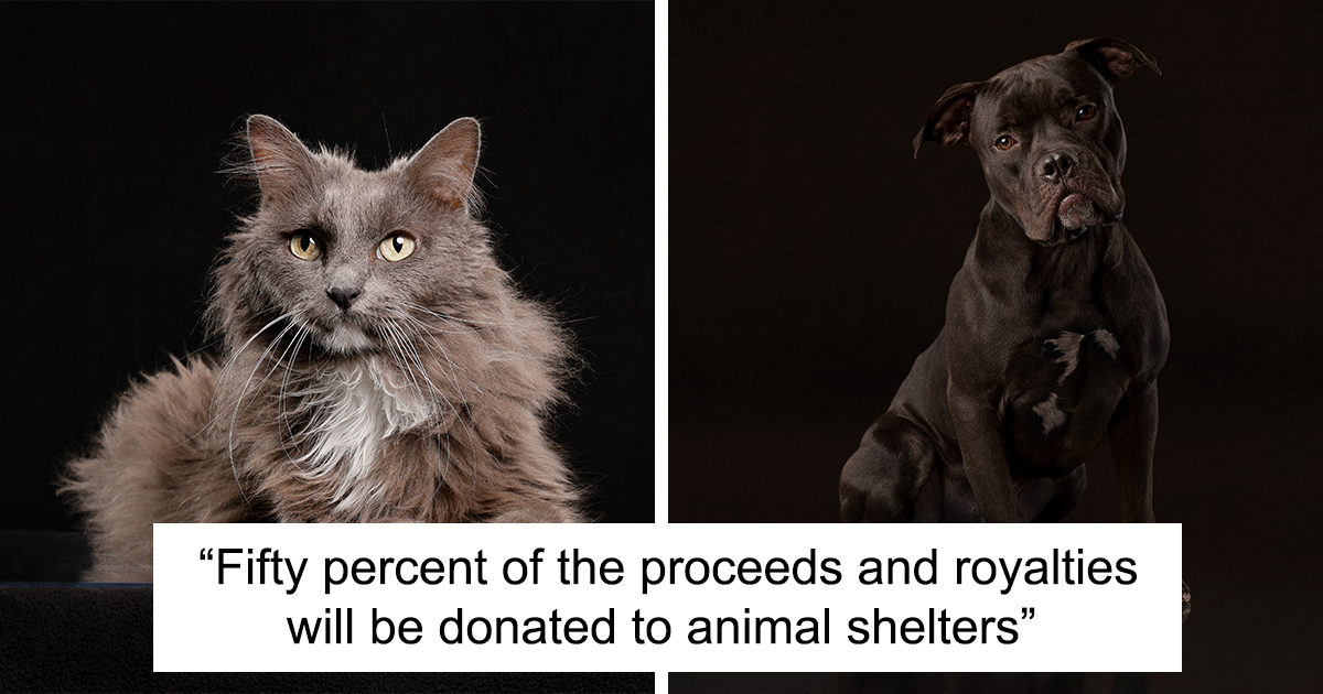17 Rescue Animals I Photographed For My NFT Collection That Supports ...