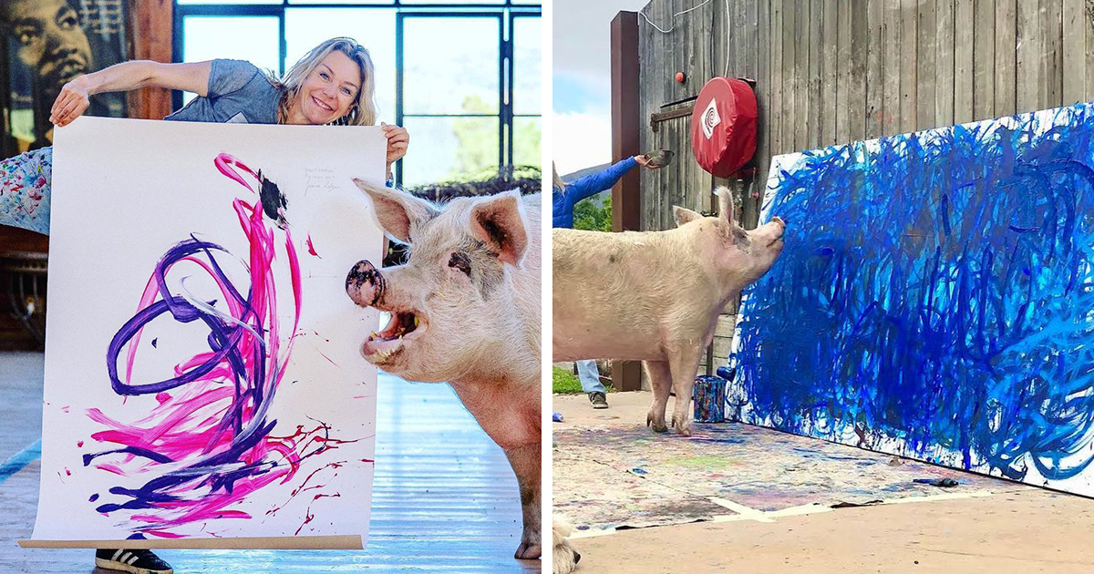 This Pig Enjoys Painting And Has Become The World’s First Pig Artist ...