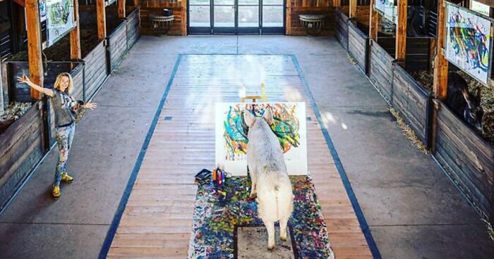 This Pig Enjoys Painting And Has Become The World’s First Pig Artist ...