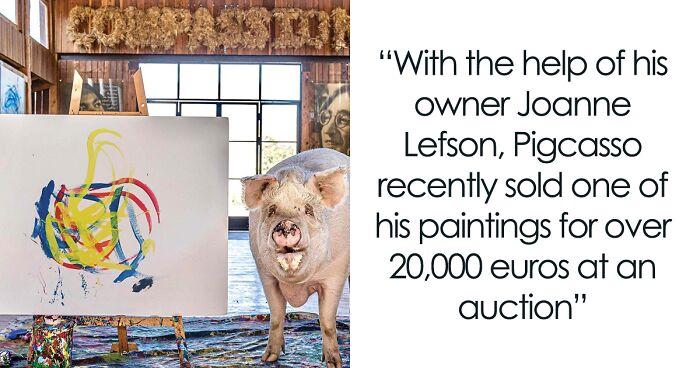 This Pig Enjoys Painting And Has Become The World’s First Pig Artist ...