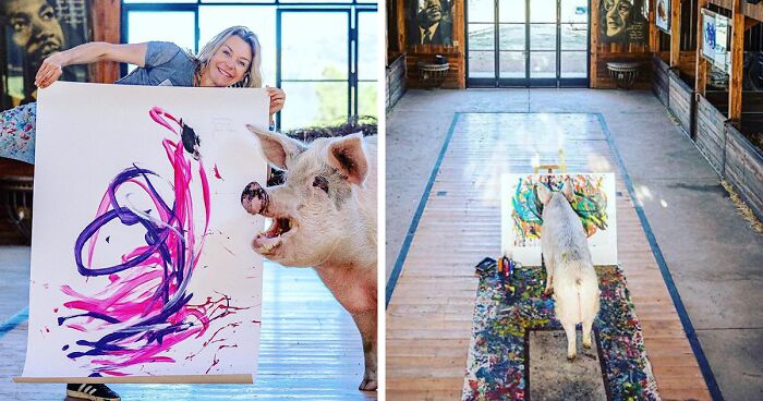 This Pig Enjoys Painting And Has Become The World’s First Pig Artist ...