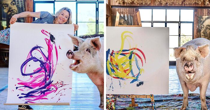 This Pig Enjoys Painting And Has Become The World’s First Pig Artist ...