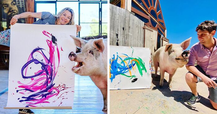 This Pig Enjoys Painting And Has Become The World’s First Pig Artist ...