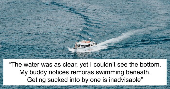 30 Of The Most Creepy Or Weird Things People Witnessed In Oceans, As ...