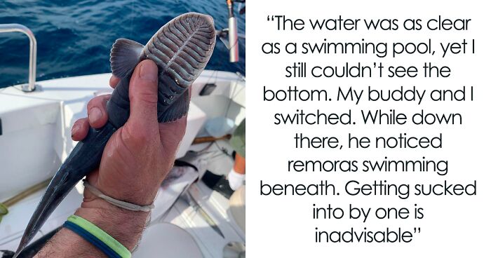30 Of The Most Creepy Or Weird Things People Witnessed In Oceans, As ...