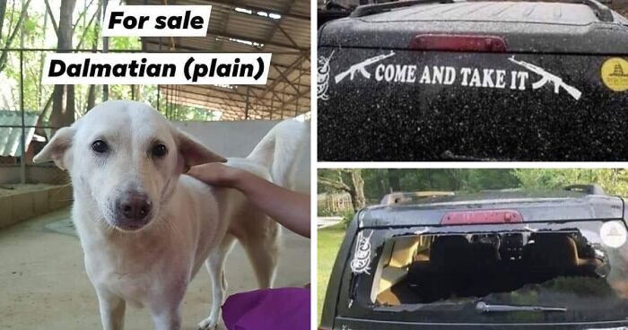 50 Cursed Adverts From ‘Ads With Threatening Auras’ (New Pics) | Bored ...