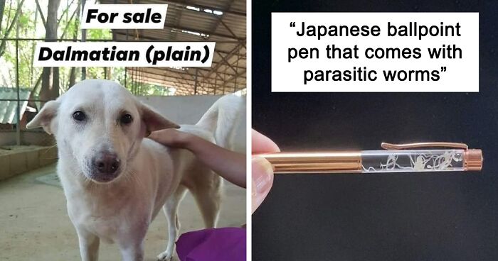 50 Cursed Adverts From ‘Ads With Threatening Auras’ (New Pics) | Bored ...