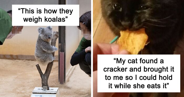 50 Of The Most Blessed Images From This Online Community To Boost Your ...