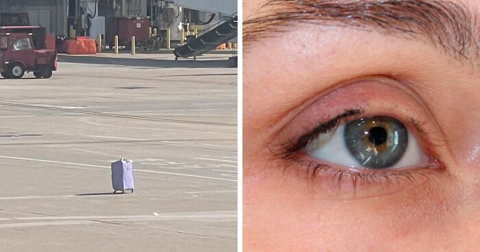 50 Times People Experienced The Most Unfortunate Fails And Just Had To ...