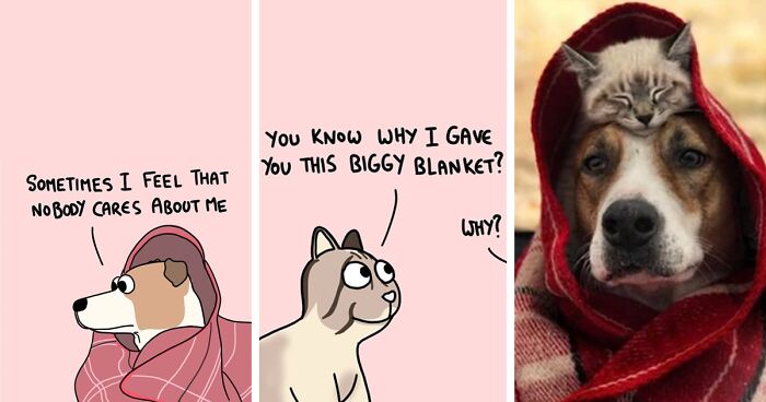 My 30 Wholesome Animal Comics About Love Might Just Be The Thing You ...