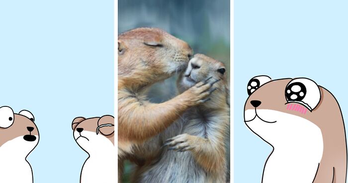 My 30 Wholesome Animal Comics About Love Might Just Be The Thing You ...
