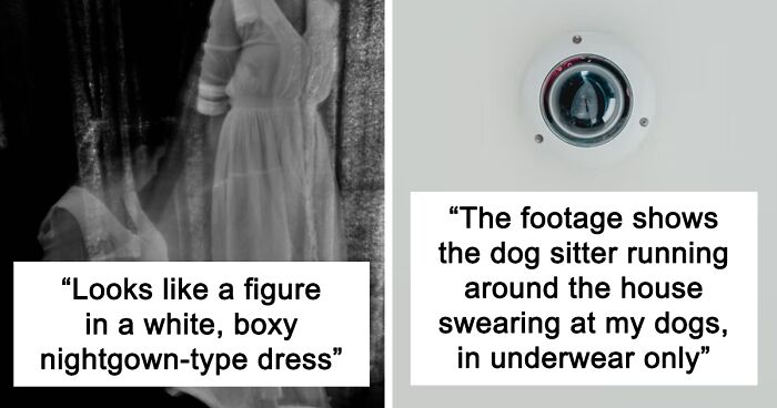 30 People Who Have Security Cameras Are Sharing The Worst Things They ...