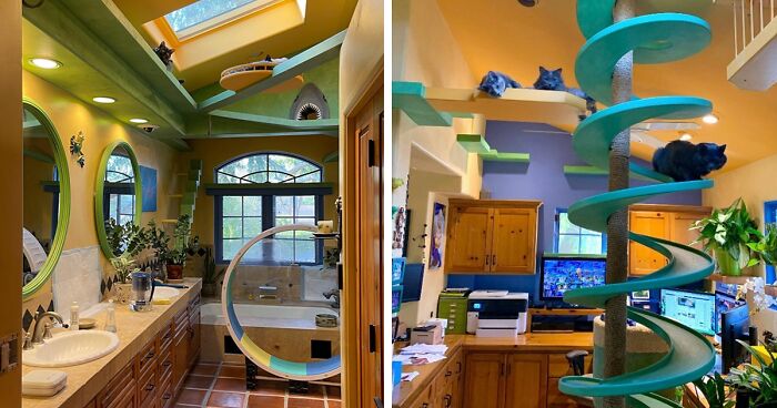This Man Designed A Purrfect House For His 20-Plus Rescue Cats | Bored ...