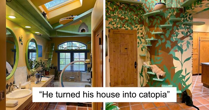 This Man Designed A Purrfect House For His 20-Plus Rescue Cats | Bored ...