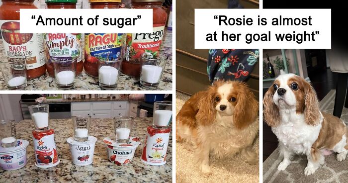 50 Interesting Comparison Images To Give You A New Perspective On ...