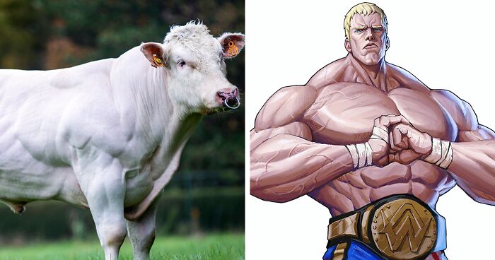 Korean Artist Turns Animals Into Original Characters That Look Like ...