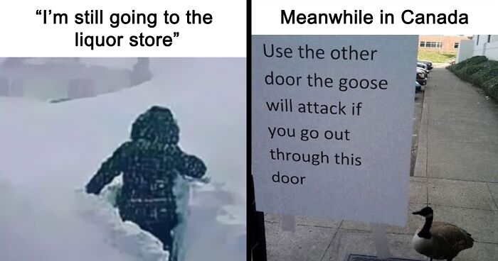 35 Canadian Memes That Are Making People Crack Up At The Country’s ...