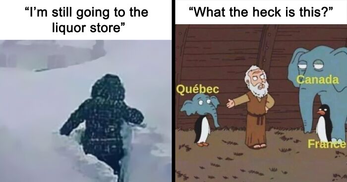 35 Canadian Memes That Are Making People Crack Up At The Country’s ...