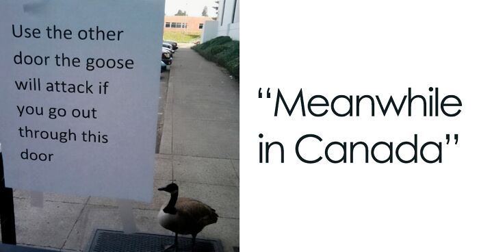 35 Canadian Memes That Are Making People Crack Up At The Country’s ...