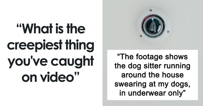 30 People Who Have Security Cameras Are Sharing The Worst Things They ...