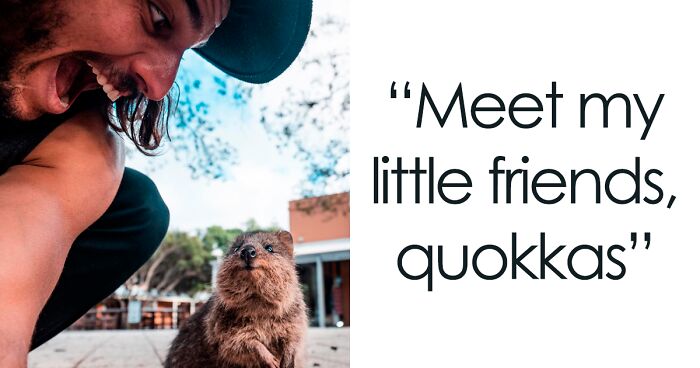30 Quokka Pics That Are Almost Too Cute To Handle