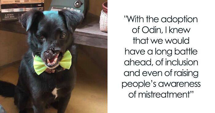 Meet Odin, The Dog Who Lost Part Of His Snout In An Accident And Still ...