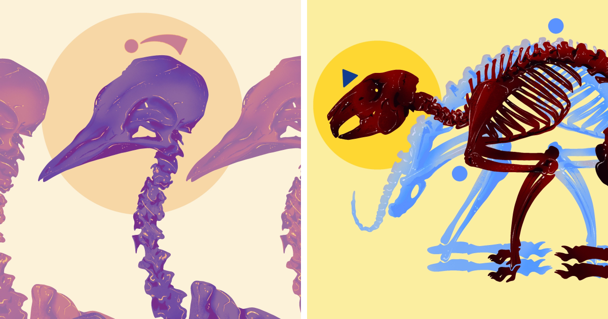 I Create Chilling Art To Bring Awareness To Borderline Personality ...