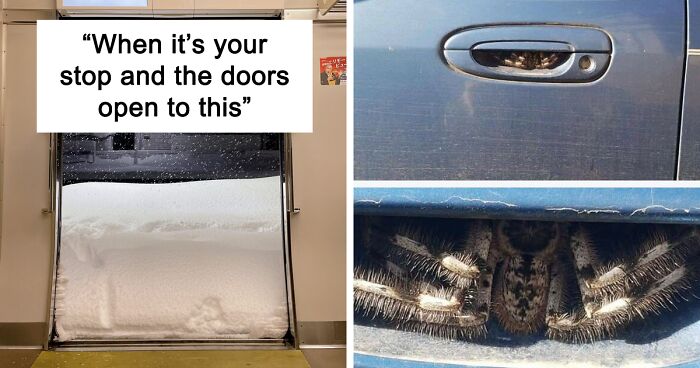 50 Times People Experienced The Most Unfortunate Fails And Just Had To ...