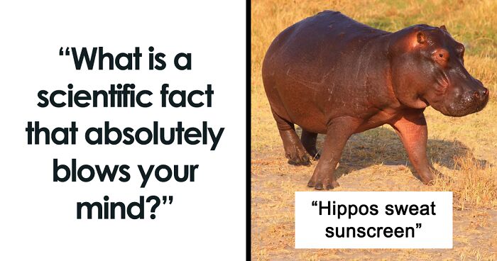 ‘What Is A Scientific Fact That Absolutely Blows Your Mind?’: People ...