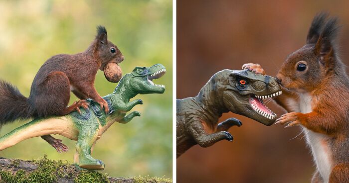 19 Pictures Of Squirrels Interacting With Dinosaurs Taken By Me | Bored ...
