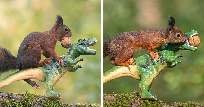 19 Pictures Of Squirrels Interacting With Dinosaurs Taken By Me | Bored ...