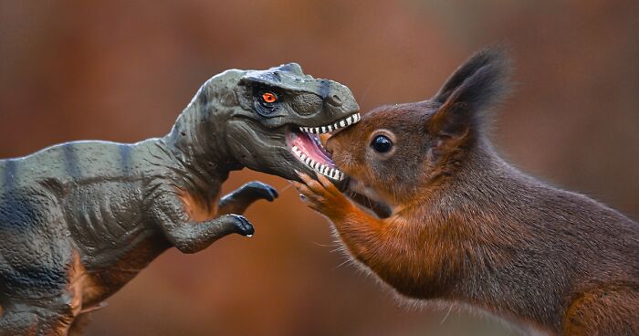 19 Pictures Of Squirrels Interacting With Dinosaurs Taken By Me | Bored ...