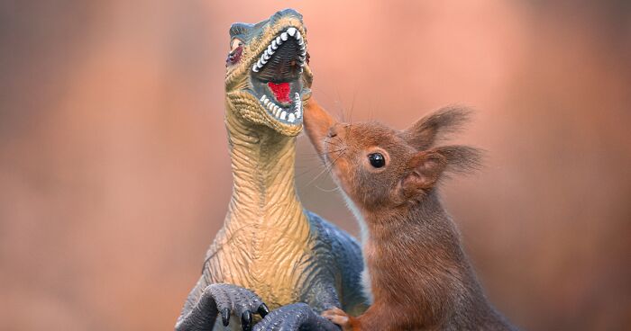 19 Pictures Of Squirrels Interacting With Dinosaurs Taken By Me | Bored ...