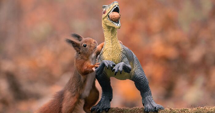 19 Pictures Of Squirrels Interacting With Dinosaurs Taken By Me | Bored ...