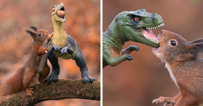 19 Pictures Of Squirrels Interacting With Dinosaurs Taken By Me | Bored ...