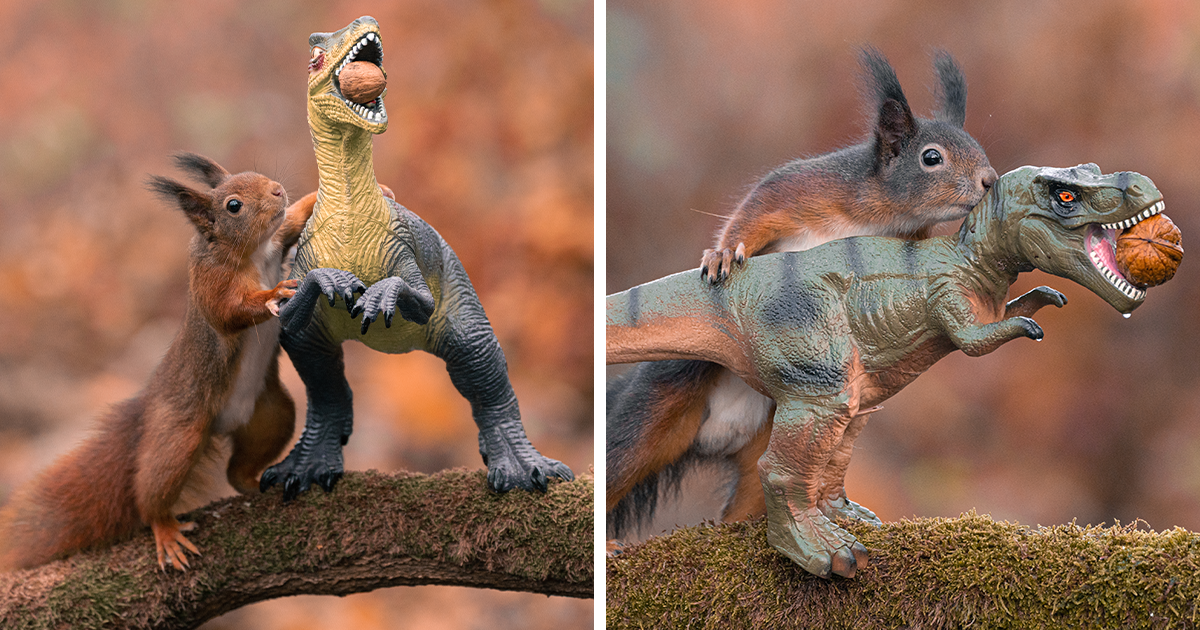 I’ve Spent A Total Of 3,200 Hours Photographing Squirrels, Here Are 19 ...