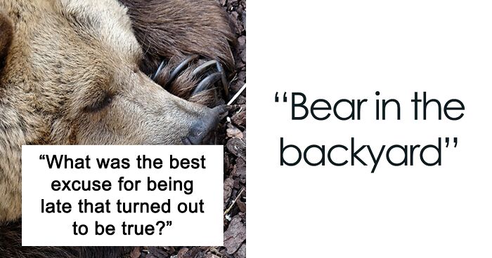 40 Teachers Share Unbelievable Student Excuses For Being Late That ...