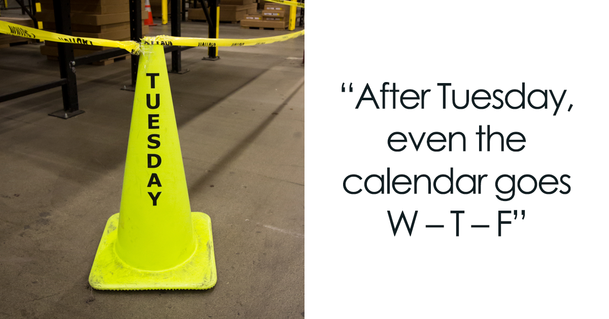 132 Fun Tuesday Quotes That Might Make Your Week A Bit Better | Bored Panda