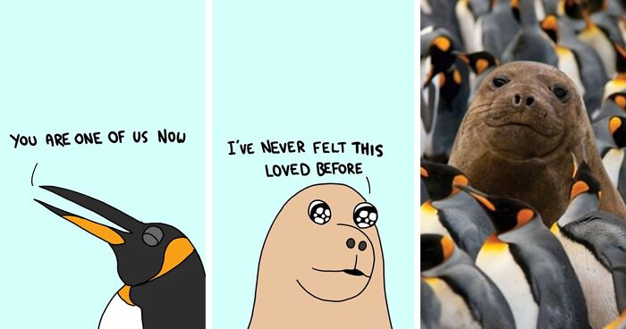 My 30 Wholesome Animal Comics About Love Might Just Be The Thing You ...