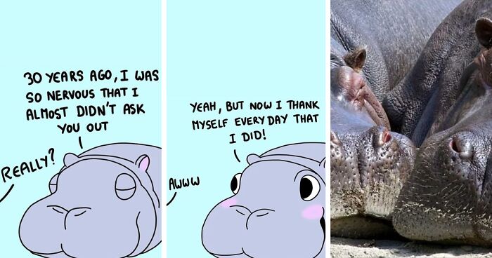 My 30 Wholesome Animal Comics About Love Might Just Be The Thing You ...