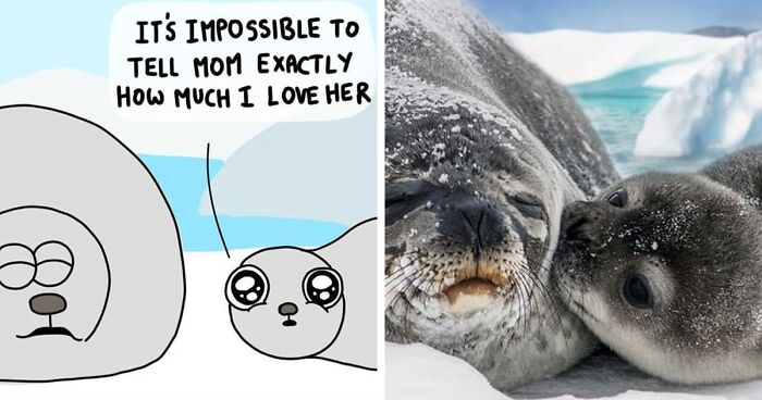 My 30 Wholesome Animal Comics About Love Might Just Be The Thing You ...