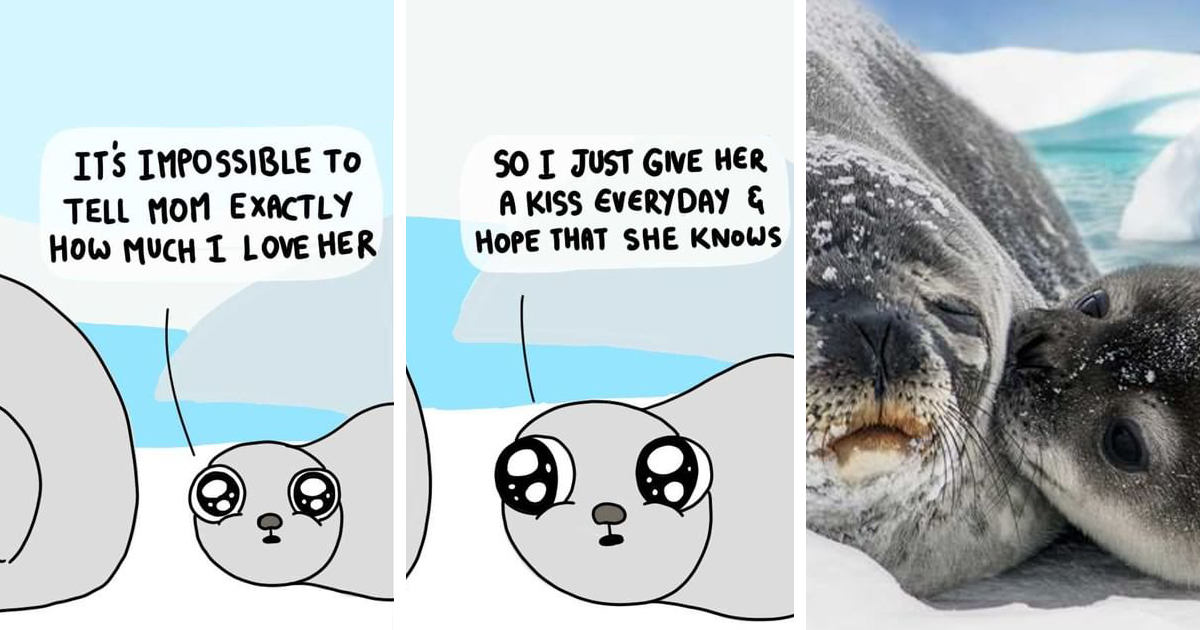 My 30 Wholesome Animal Comics About Love Might Just Be The Thing You ...