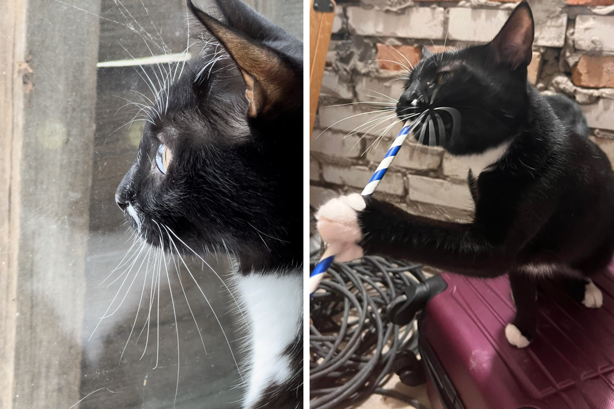 “7 Days Ago Everything Changed”: This Is What It’s Like To Live In The ...