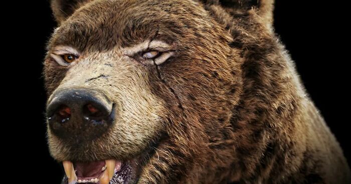 Artist Shows How These Extinct Animals Might’ve Looked In Real Life In ...