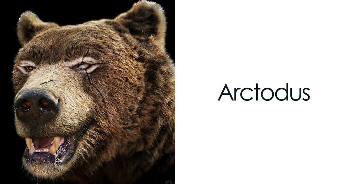 Artist Shows How These Extinct Animals Might’ve Looked In Real Life In ...