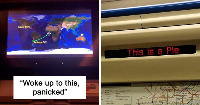 People Are Sharing Pics Of The Worst Software Fails They’ve Encountered ...