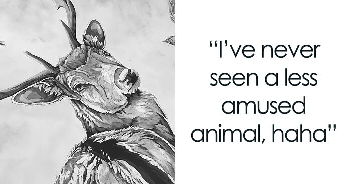 My Detailed Deer Illustration Took Me Two Weeks To Finish, And Here’s ...