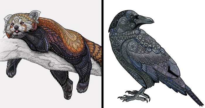 I Create Art To Question The Relationship Between Human Beings And ...