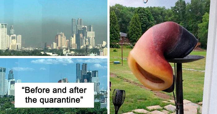 40 Pics That Show Climate Change Is No Joke | Bored Panda