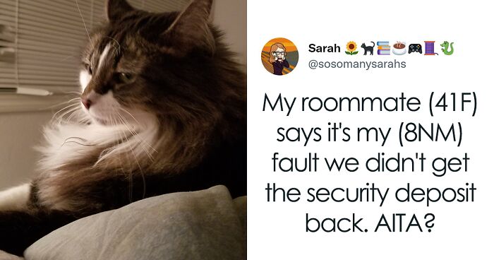 35 AITA Posts That Are Funny Because They Are Written From A Cat’s ...